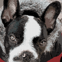 Dudley - 1.jpg by CraftyFrancesH | Chart Minder