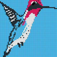 Large Bee Hummingbird by thehumaknity | Chart Minder