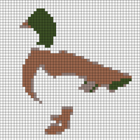 duck.jpeg by Alexa Terry | Chart Minder