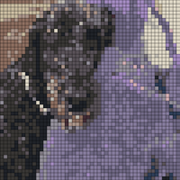 IMG_1184.jpeg by Alice Hanlon | Chart Minder