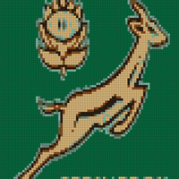 SA Springbok Logo.jpg by SharonJanitz | Chart Minder